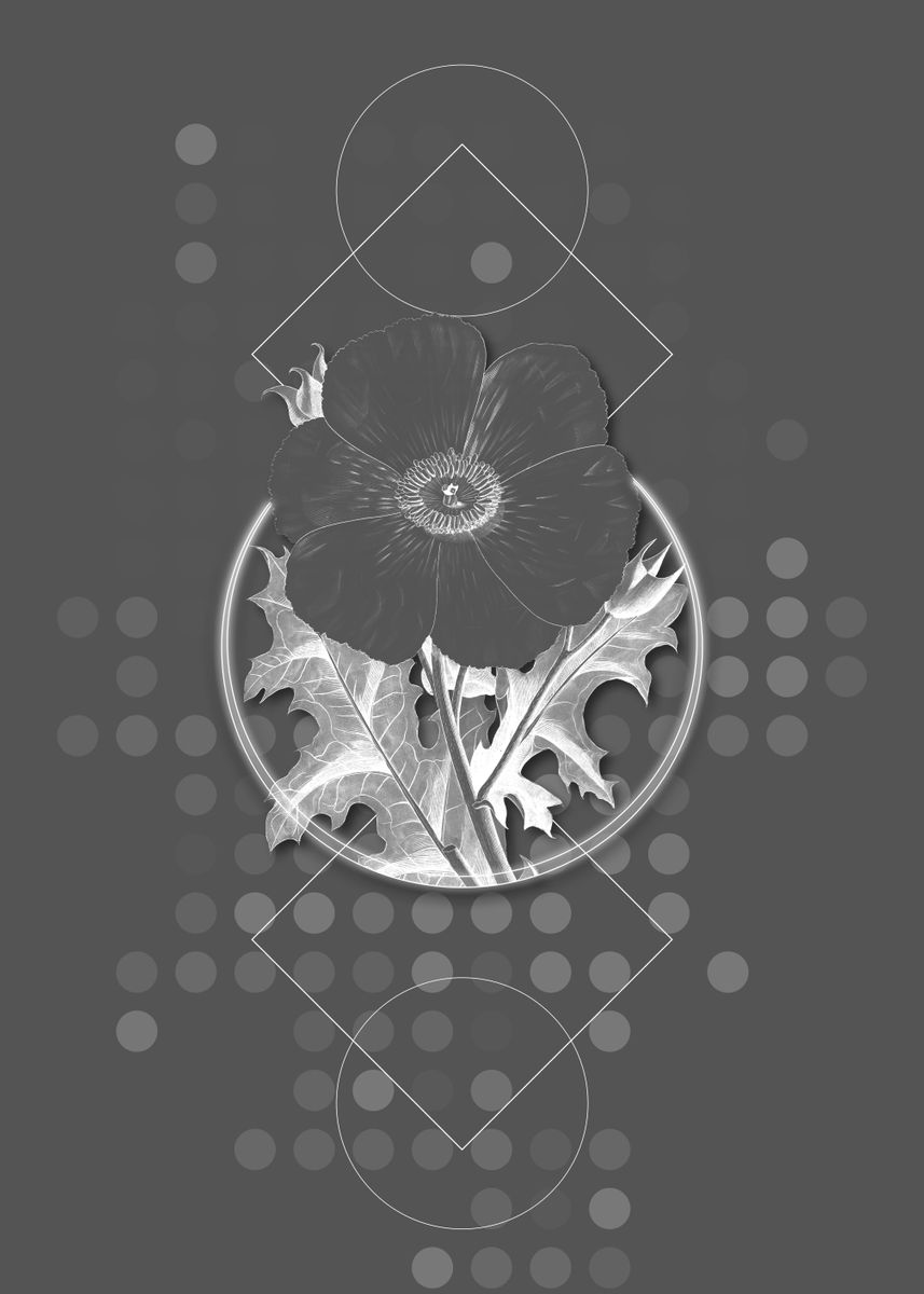 'Geometric Poppy Flower' Poster, picture, metal print, paint by Holy ...
