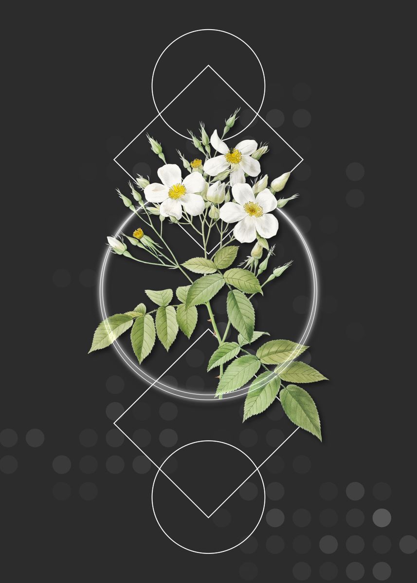 'Vintage White Musk Rose' Poster by Holy Rock Design | Displate