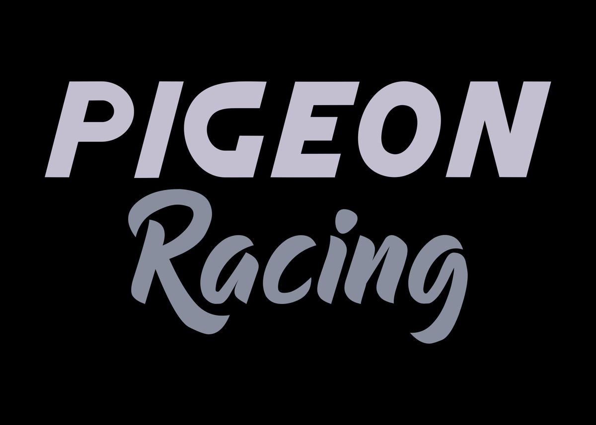 'Pigeon Racing Pigeons' Poster by DesignatedDesigner | Displate