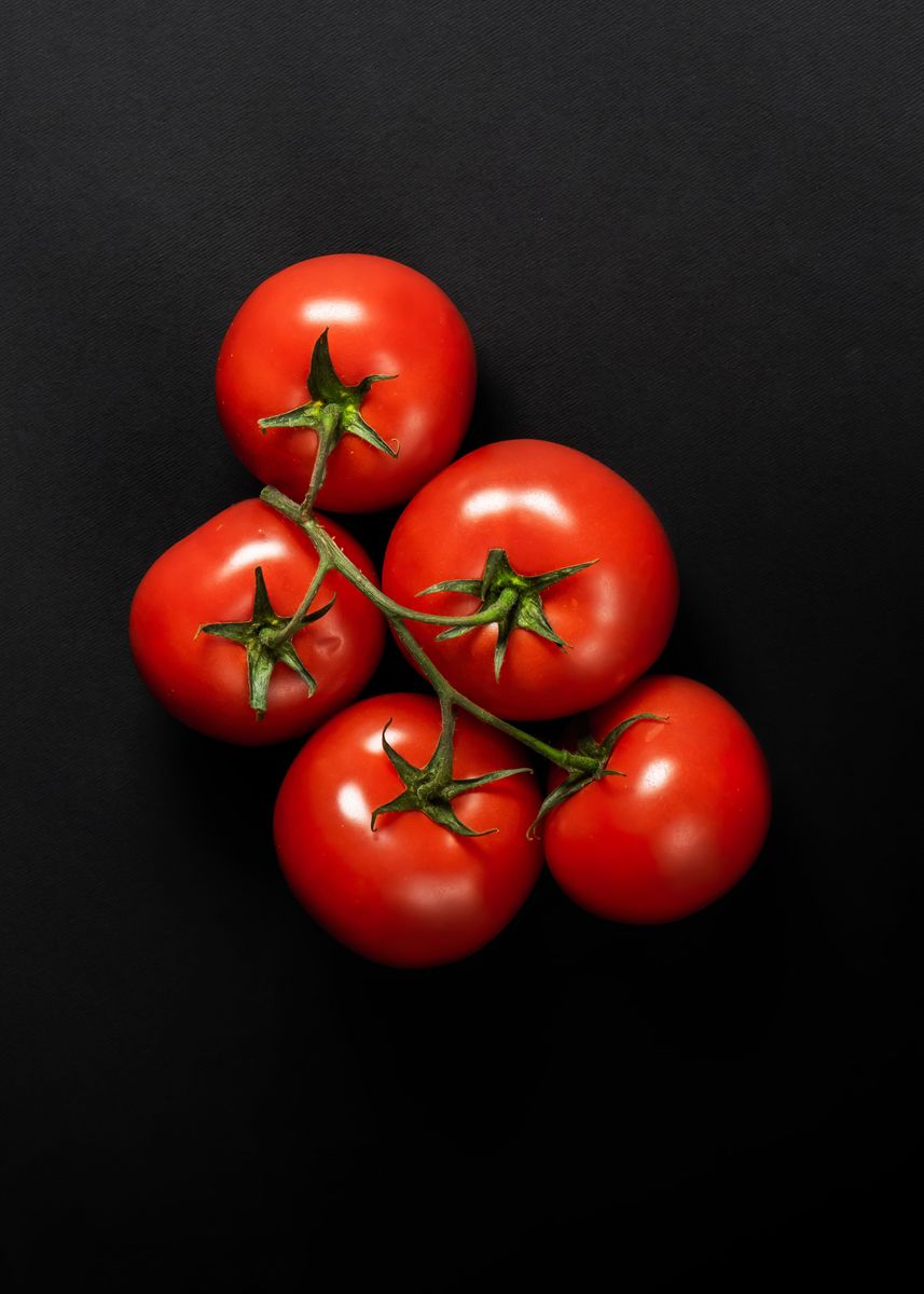 'Fresh tomato' Poster, picture, metal print, paint by Moon Calendar ...