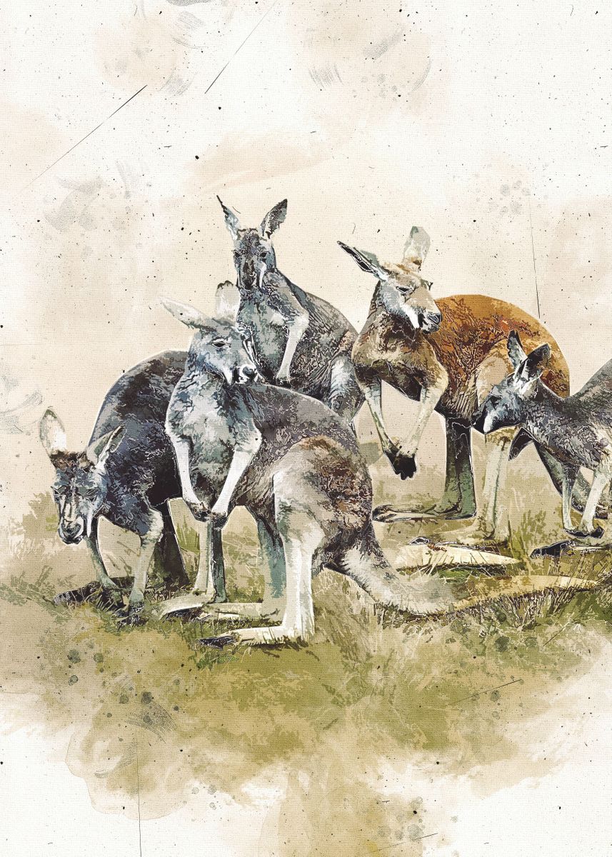 'Kangaroo' Poster by Gigi Bgm | Displate