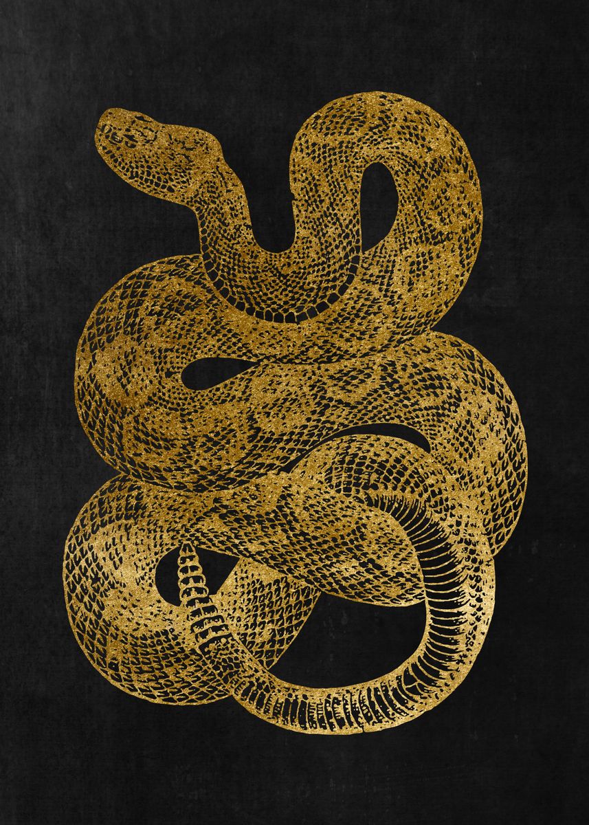 'Gold Rattlesnake Snakes' Poster, picture, metal print, paint by John ...