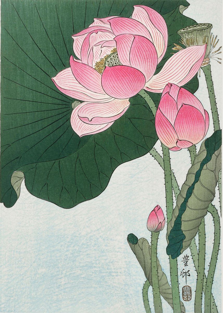 'Lotus in Bloom' Poster, picture, metal print, paint by VenomUnrefined ...