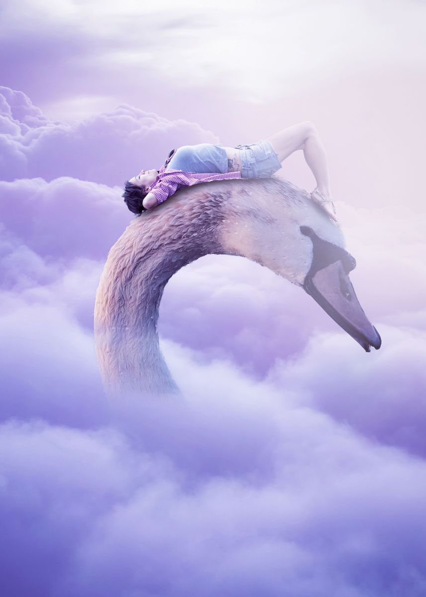 'NAP' Poster by bevisualz | Displate