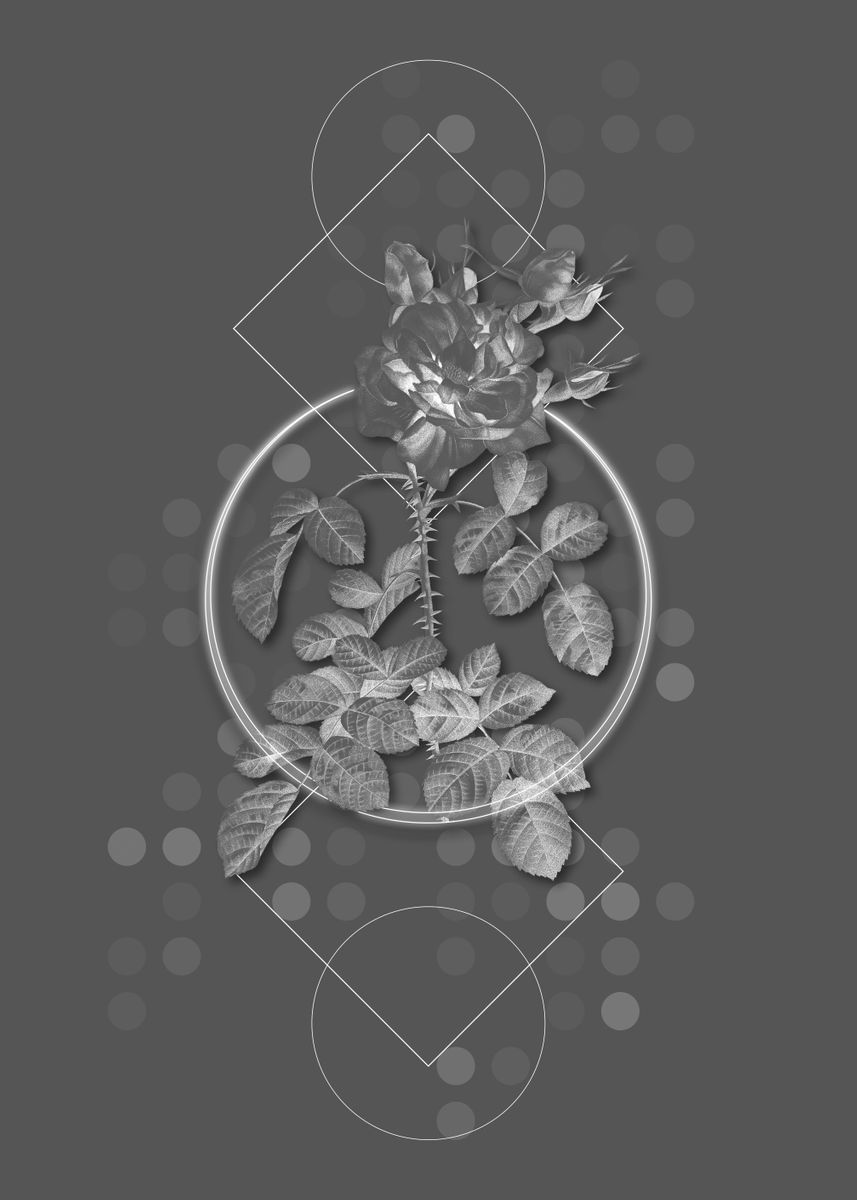 'Vintage Four Seasons Rose' Poster, picture, metal print, paint by Holy ...