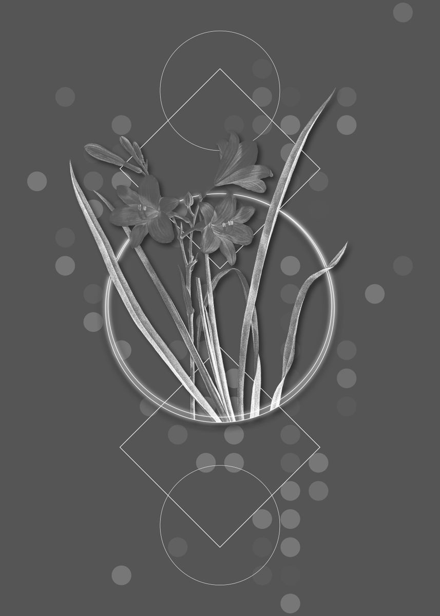 'Grey Geometric Daylily' Poster, picture, metal print, paint by Holy ...