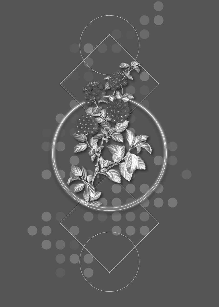 'Gray Germander Meadowsweet' Poster by Holy Rock Design | Displate