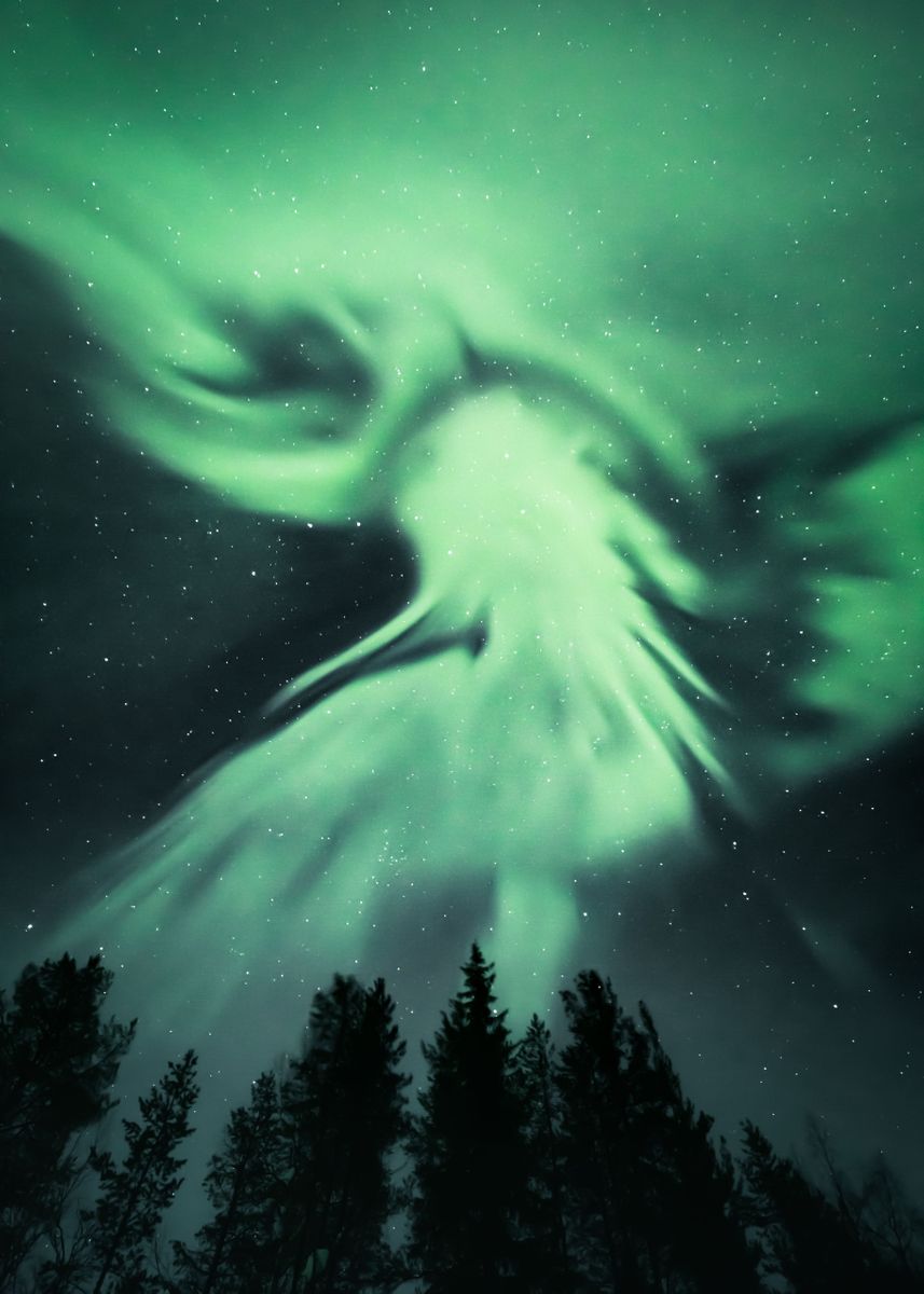 'Aurora Phoenix' Poster, picture, metal print, paint by Timo Oksanen ...