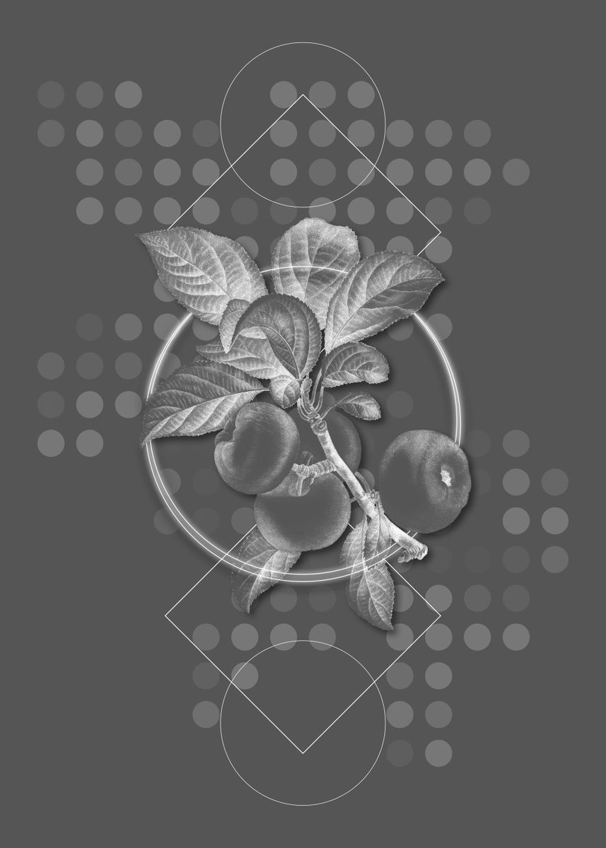 'Gray Geometric Apple Fruit' Poster, picture, metal print, paint by ...