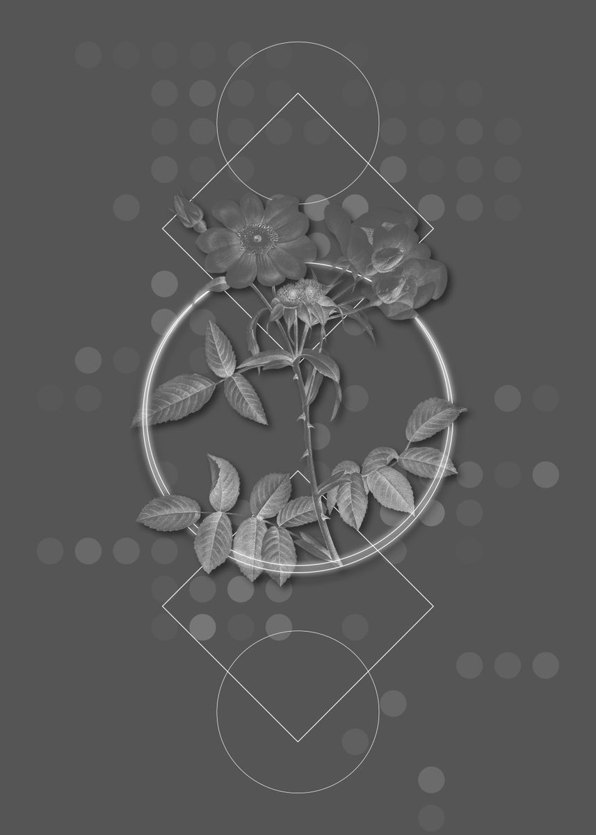 'Vintage Lady Monson Rose' Poster, picture, metal print, paint by Holy ...