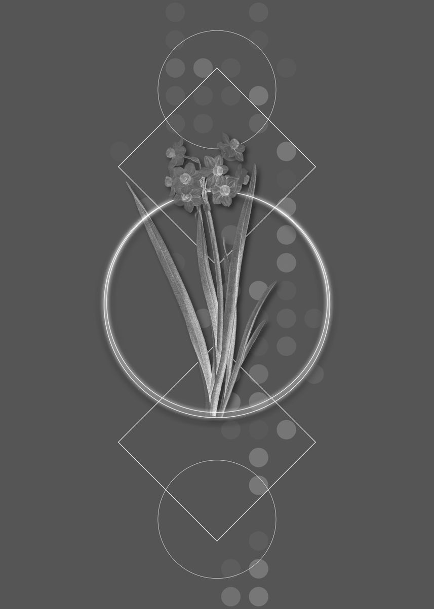 'Geometric Grey Daffodil' Poster by Holy Rock Design | Displate