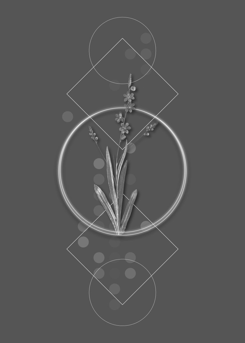 'Geometric Ixia Scillaris' Poster by Holy Rock Design | Displate