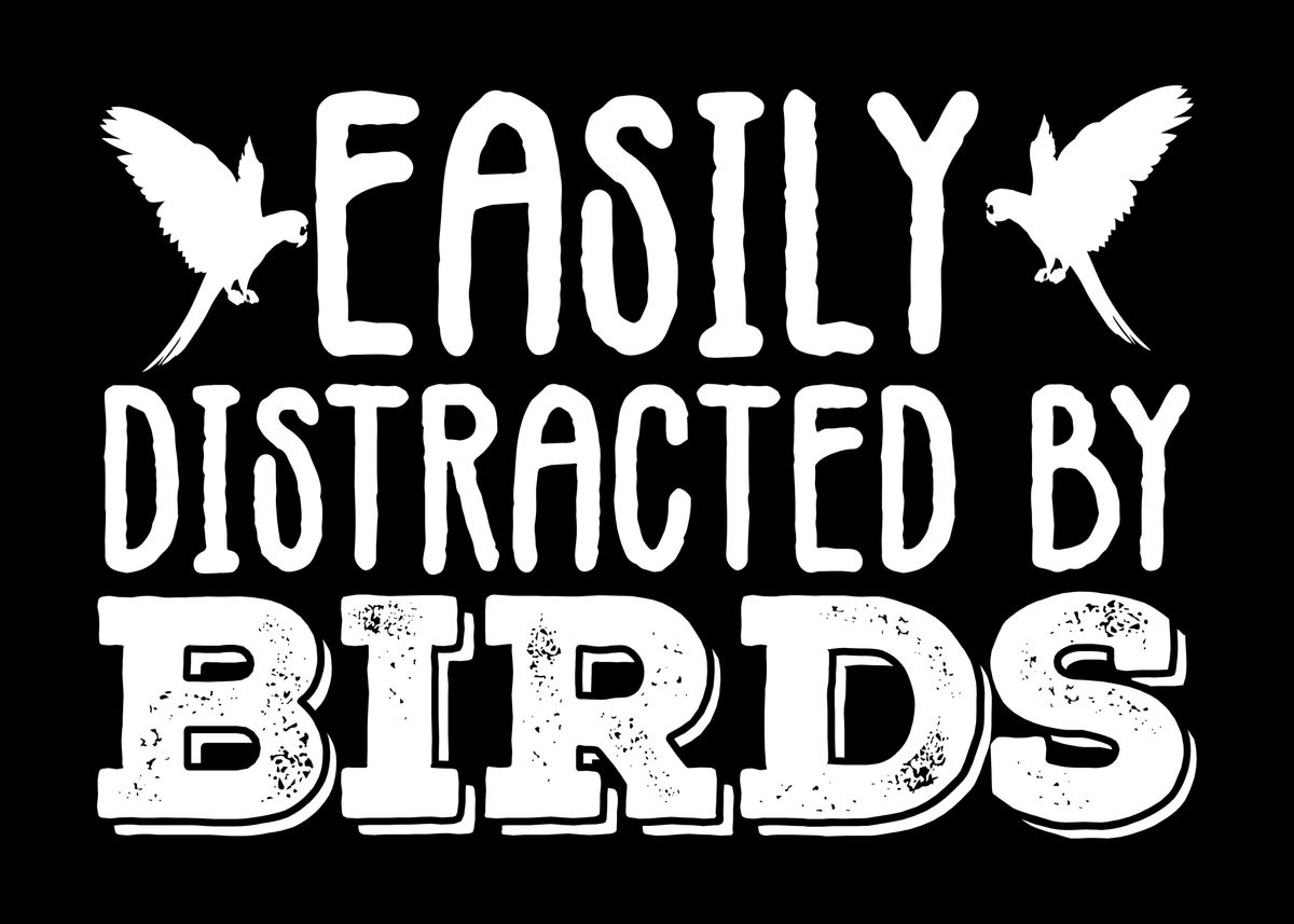 'Bird Joke Ornithologist' Poster by DesignatedDesigner | Displate