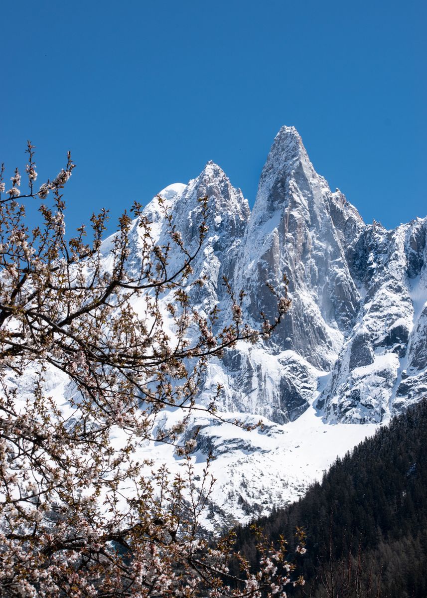 'photo de montagne' Poster, picture, metal print, paint by ...