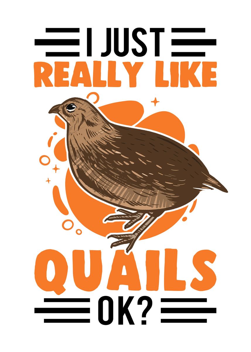 'I Just Really Like Quails' Poster by FavoritePlates | Displate