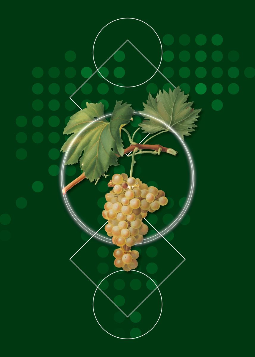'Geometric Grape Vine Fruit' Poster, picture, metal print, paint by ...
