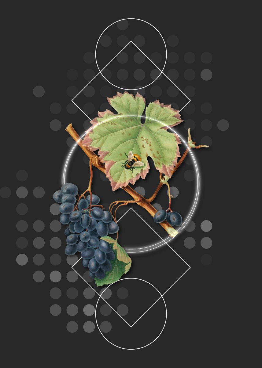 'Geometric Grape Fruit' Poster, picture, metal print, paint by Holy ...