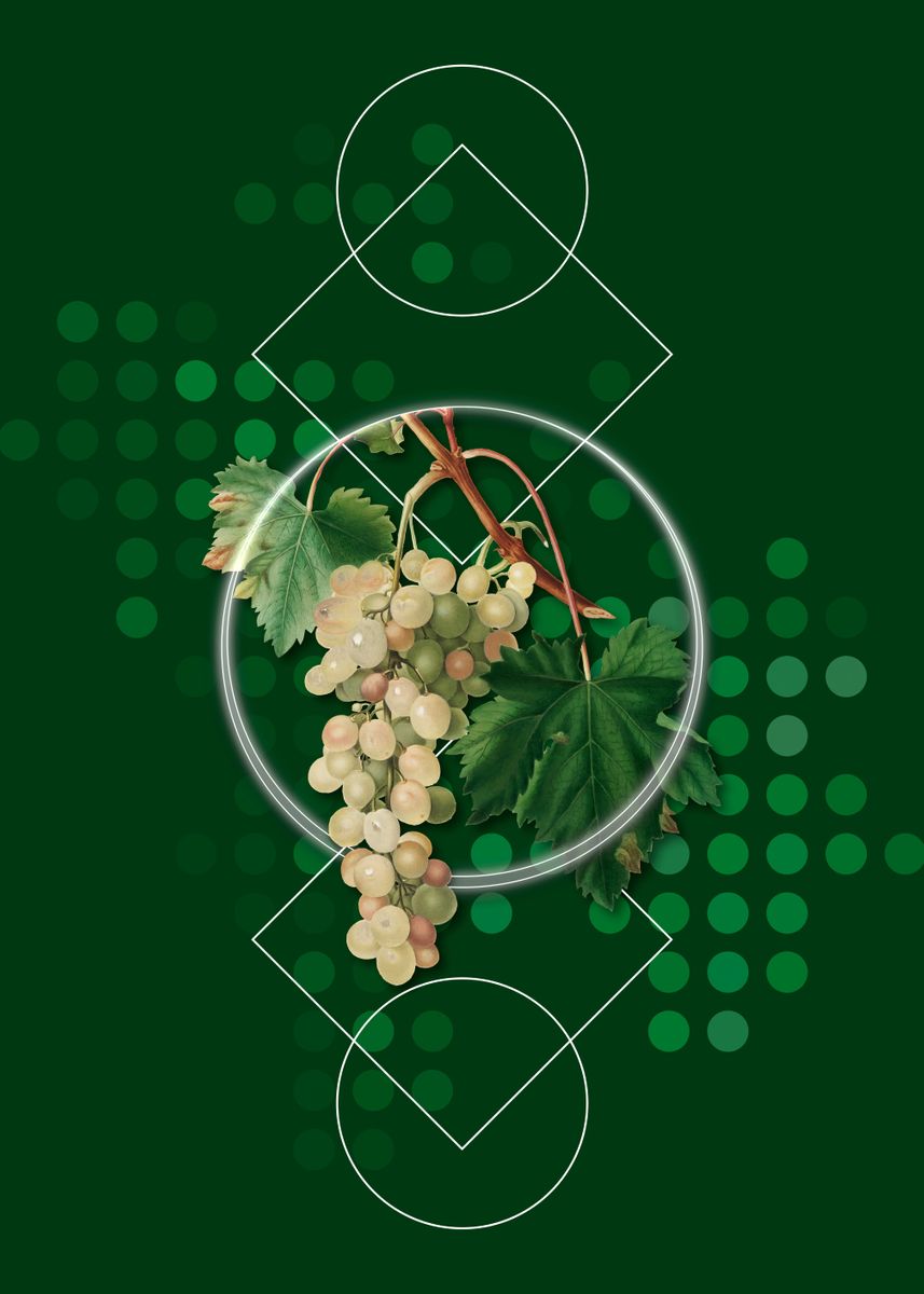 'Geometric Muscat Grape' Poster, picture, metal print, paint by Holy ...