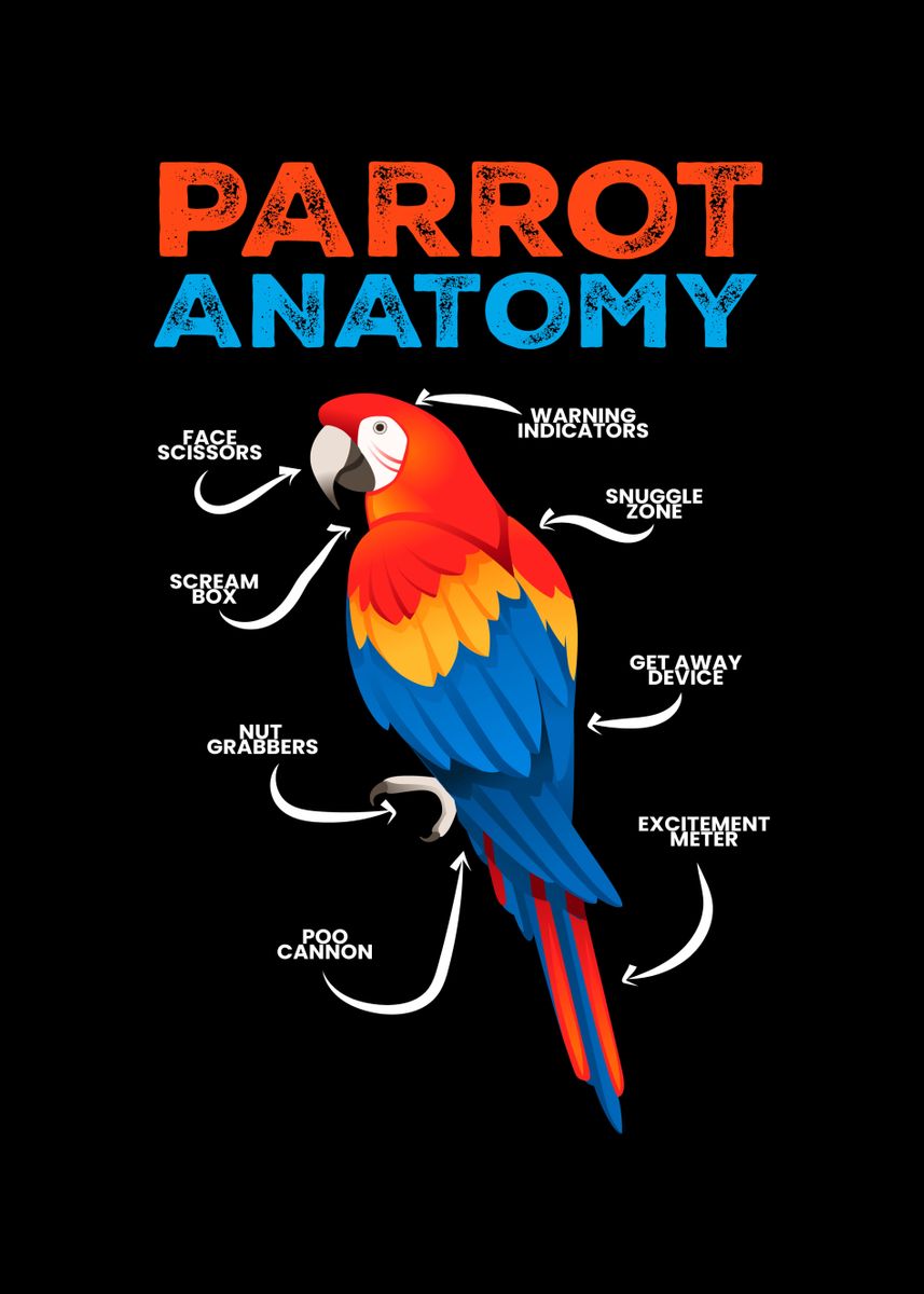 'Parrot Anatomy' Poster by Mooon | Displate
