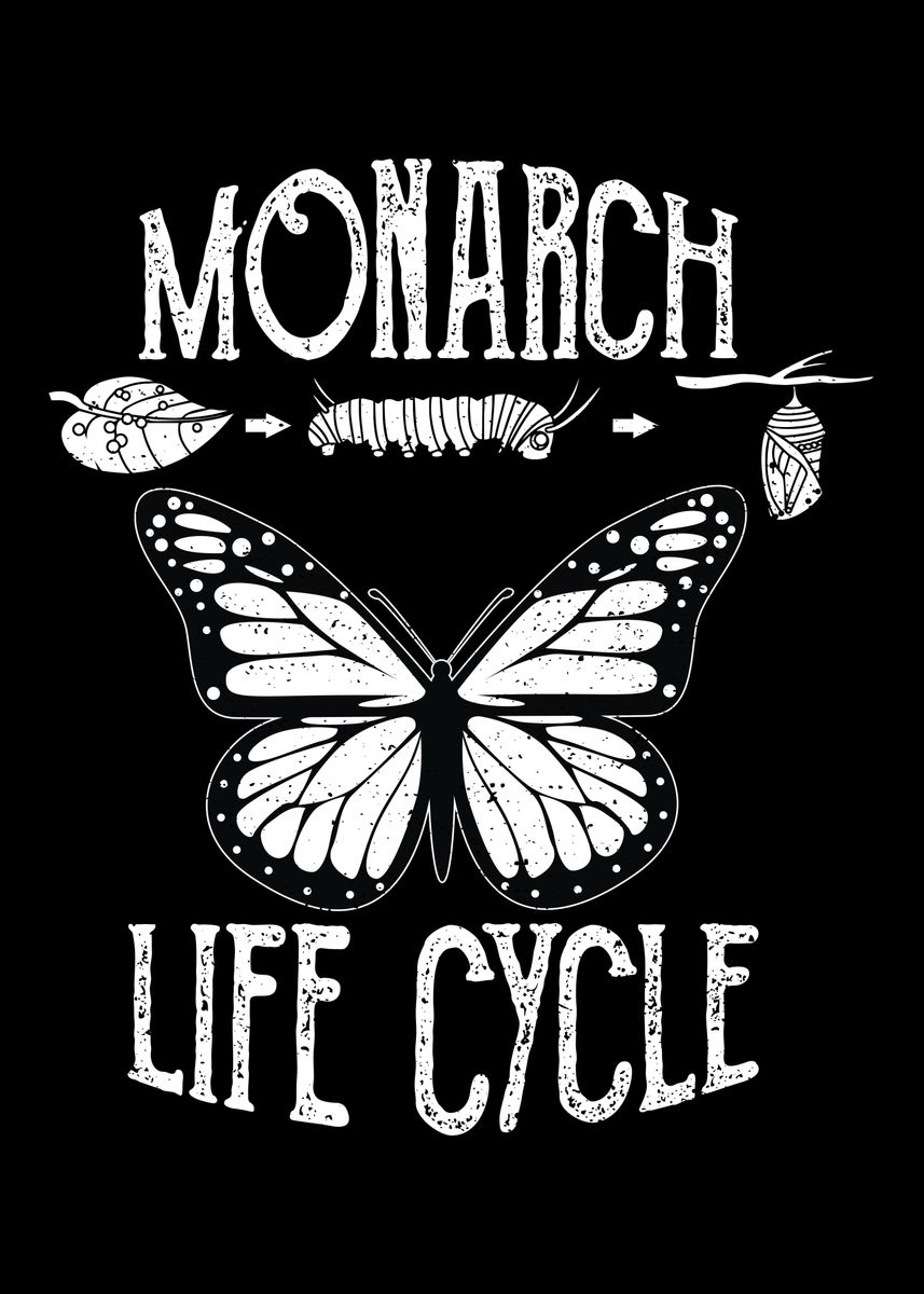 'Monarch Life Cycle' Poster by DesignsByJnk5 | Displate