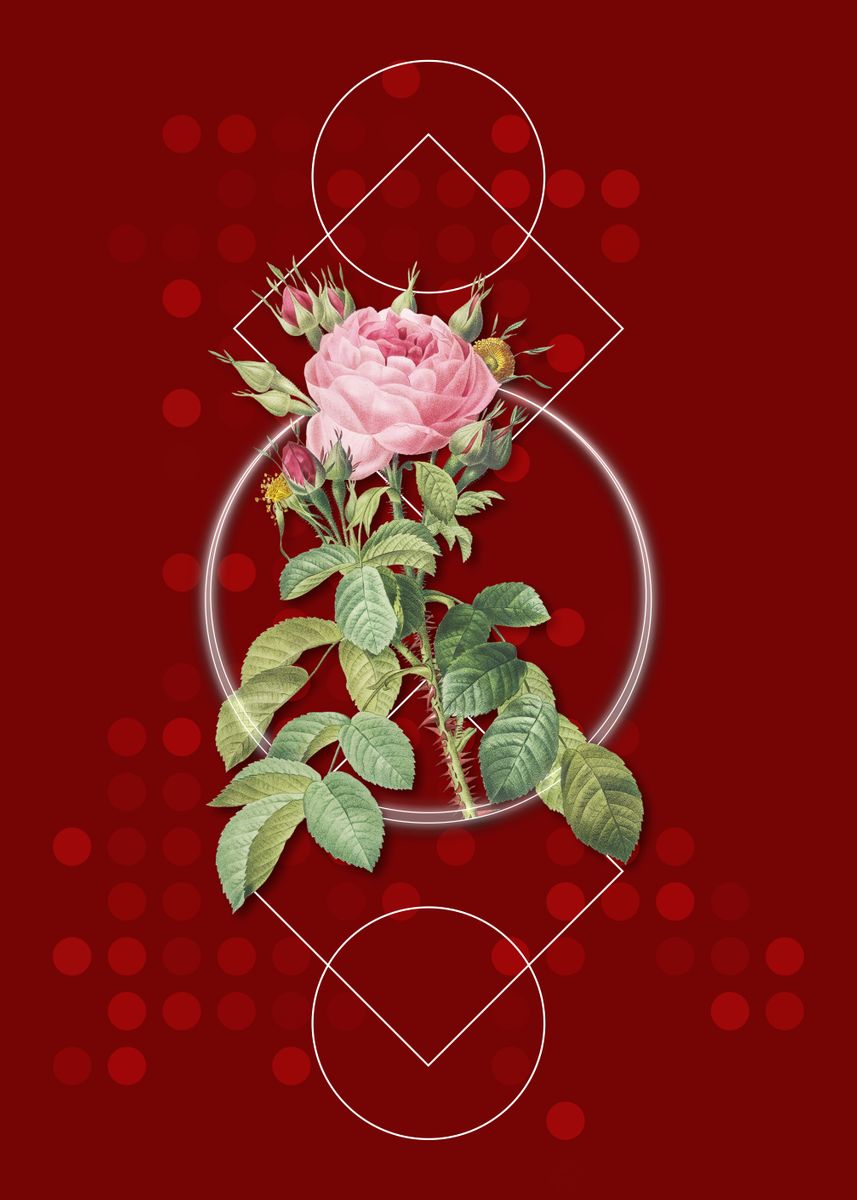 'Vintage Four Seasons Rose' Poster, picture, metal print, paint by Holy ...