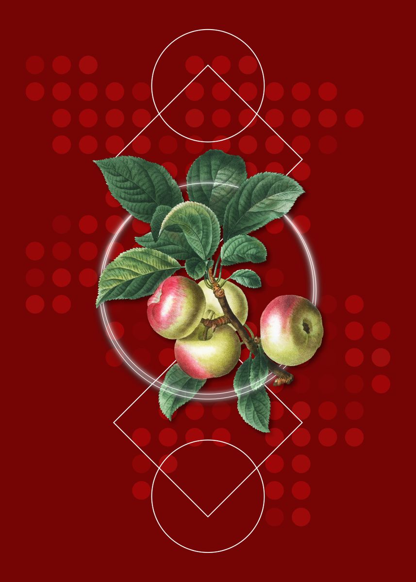'Geometric Apple Fruit' Poster, picture, metal print, paint by Holy ...