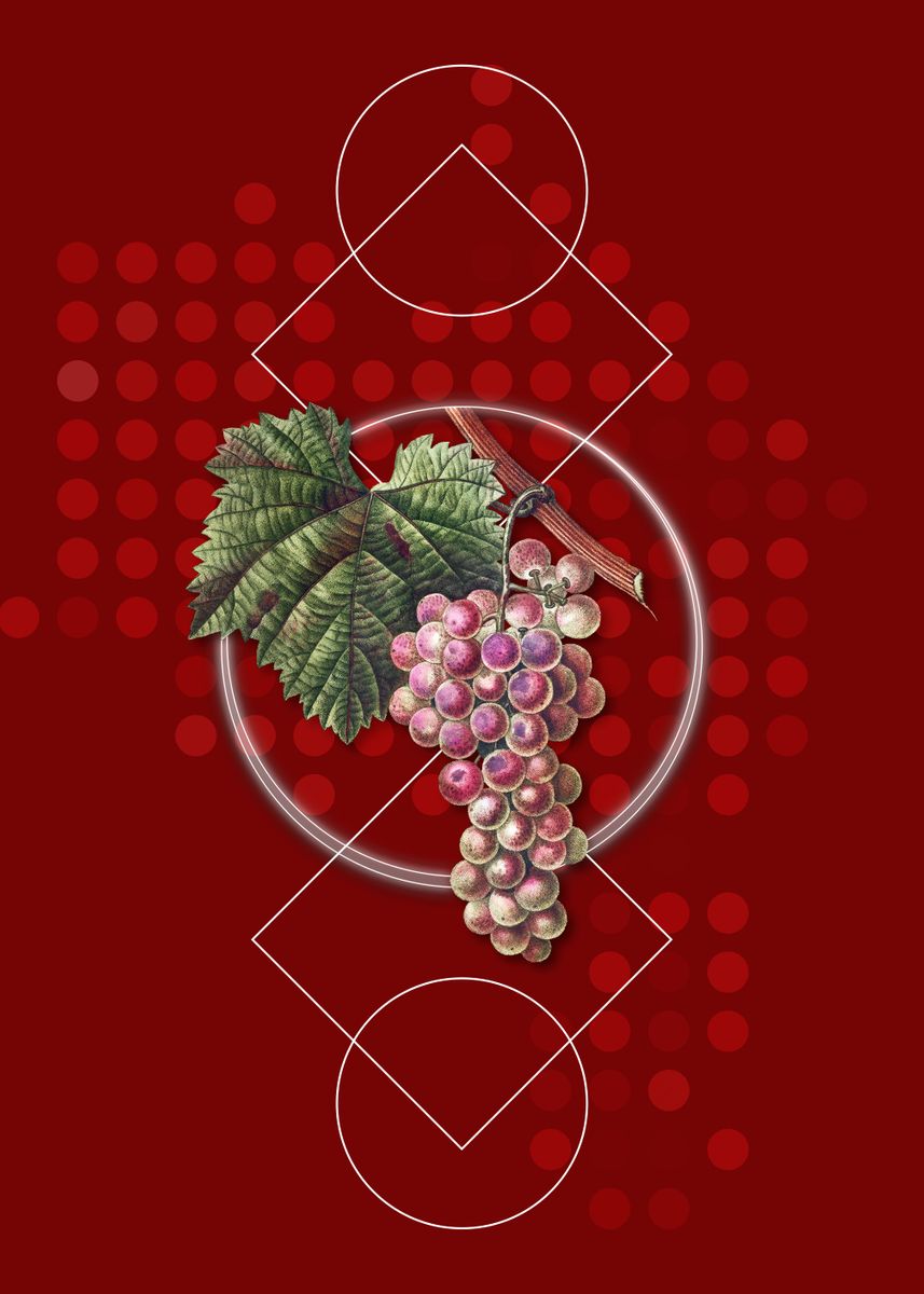 'Vintage Grape Vine Fruit' Poster, picture, metal print, paint by Holy ...