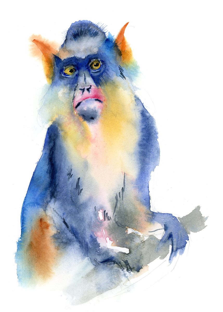 'monkey' Poster, picture, metal print, paint by PaintisPassion | Displate