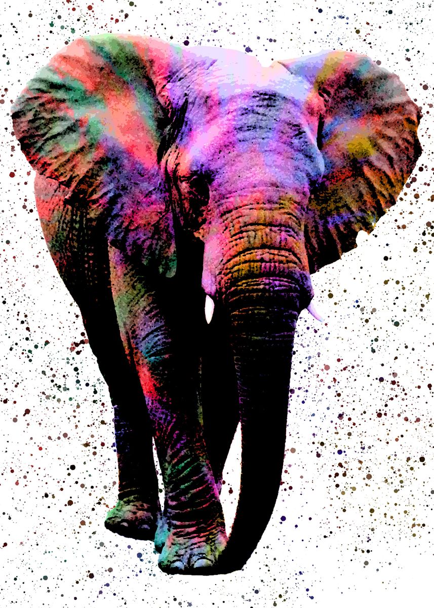 'Elephant in colorful' Poster, picture, metal print, paint by taurungka ...