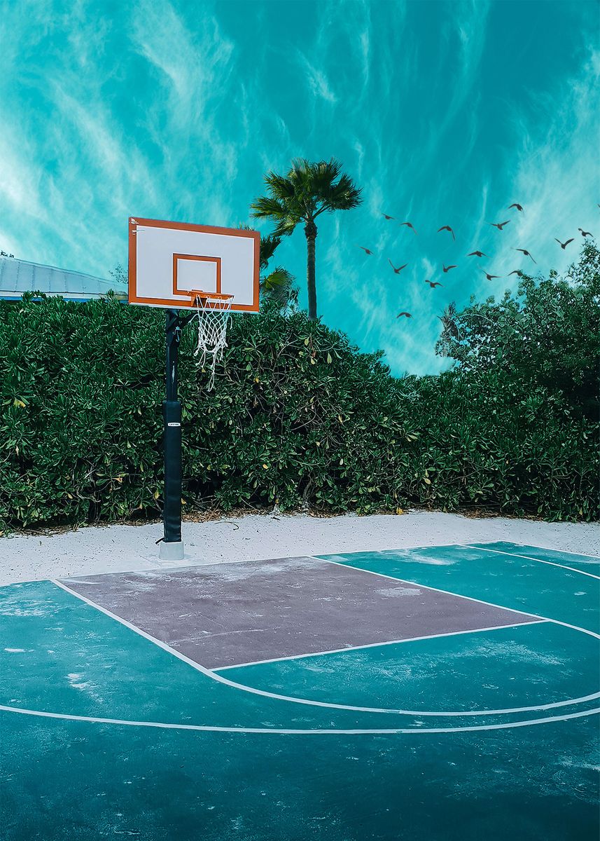 'Basketball Court ' Poster, picture, metal print, paint by Shaheen Khan ...