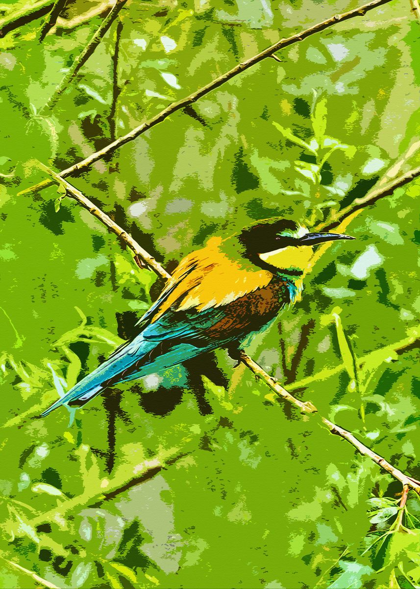 'European Bee eater art' Poster, picture, metal print, paint by ANDRE ...