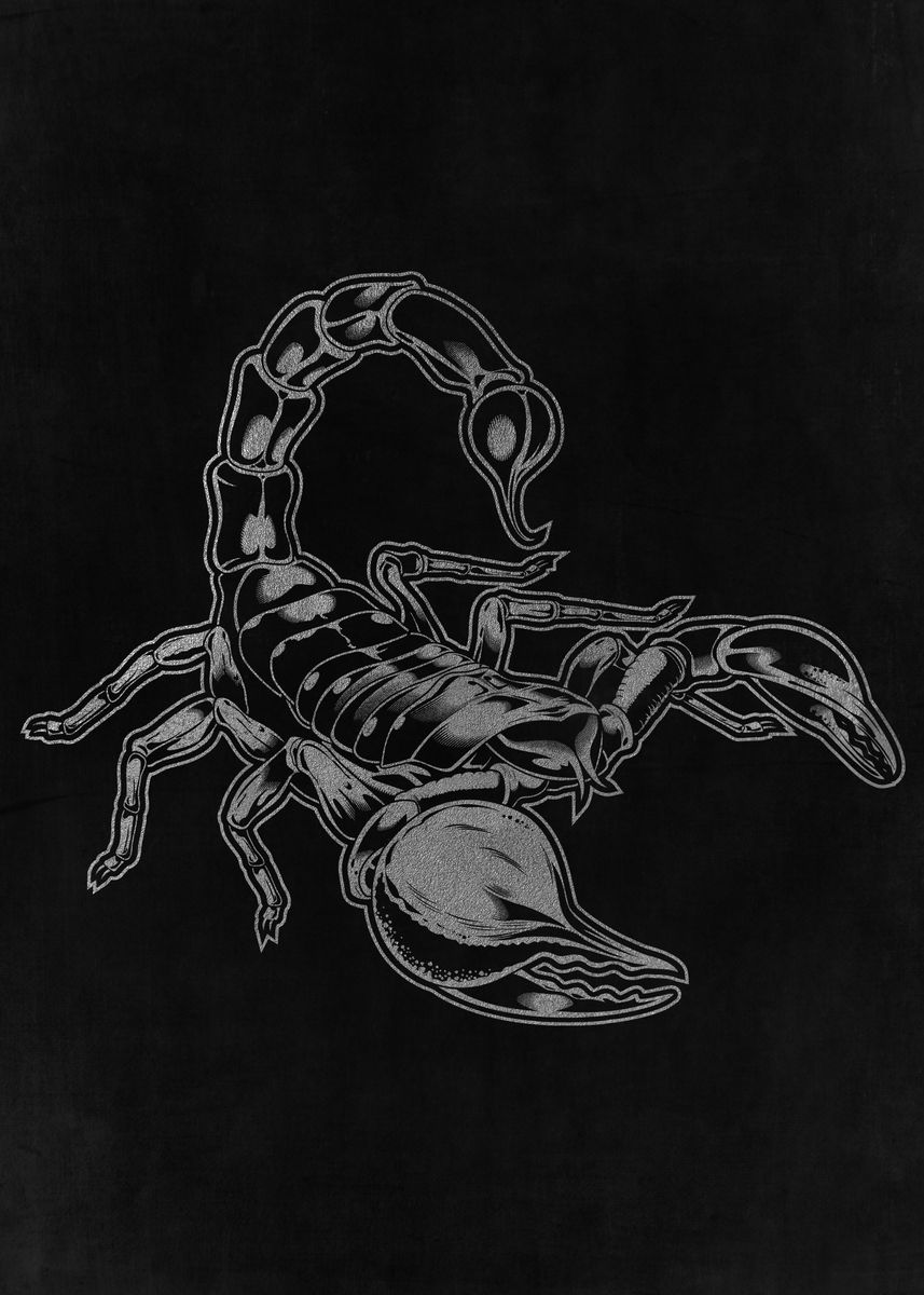 'Silver Scorpion Scorpio' Poster, picture, metal print, paint by John ...