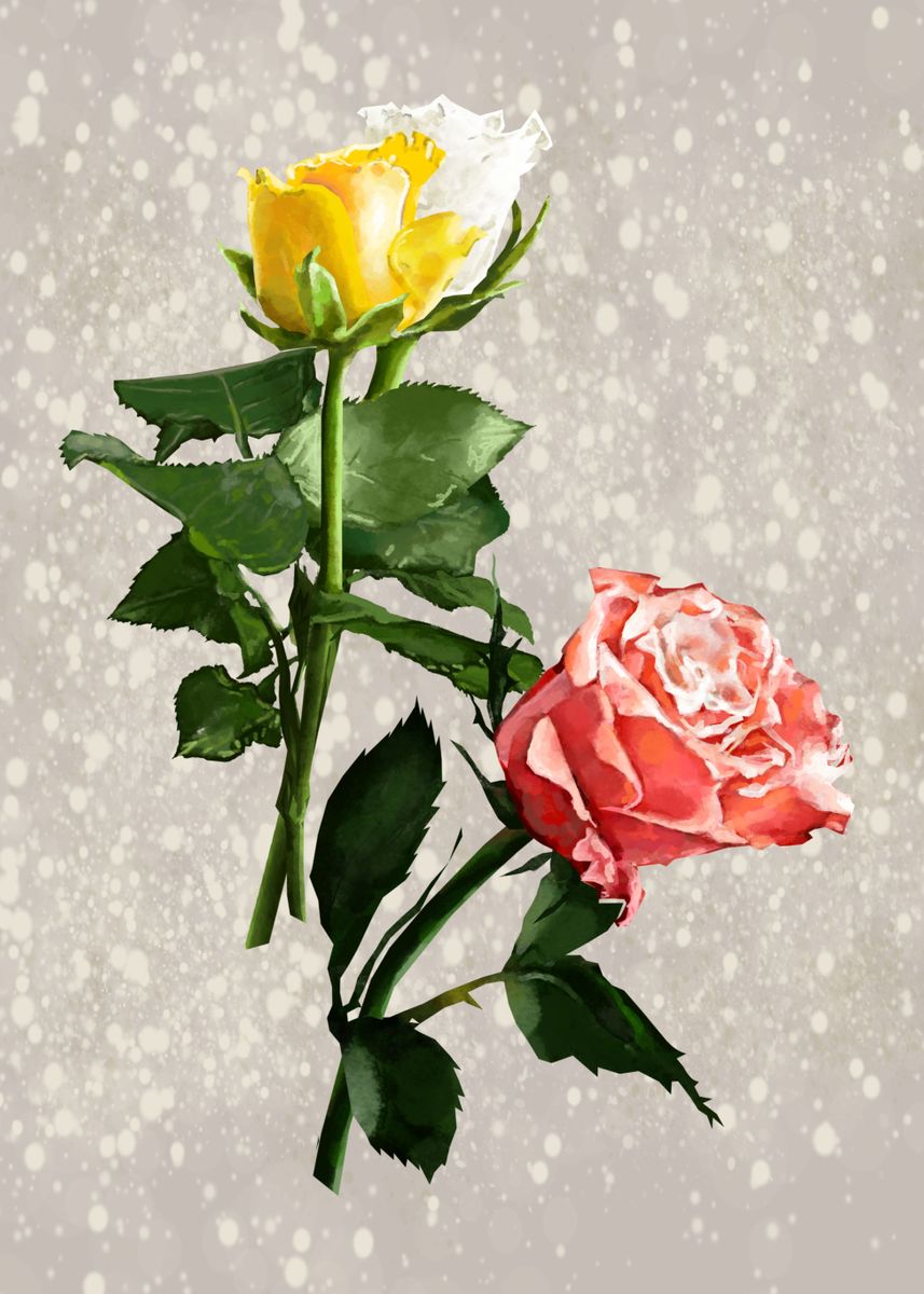 'roses' Poster by Nesrin Gulistan | Displate