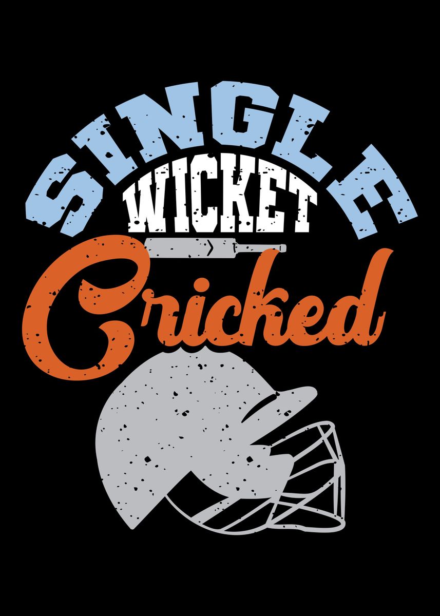 'Single Wicket Cricket Play' Poster, picture, metal print, paint by ...