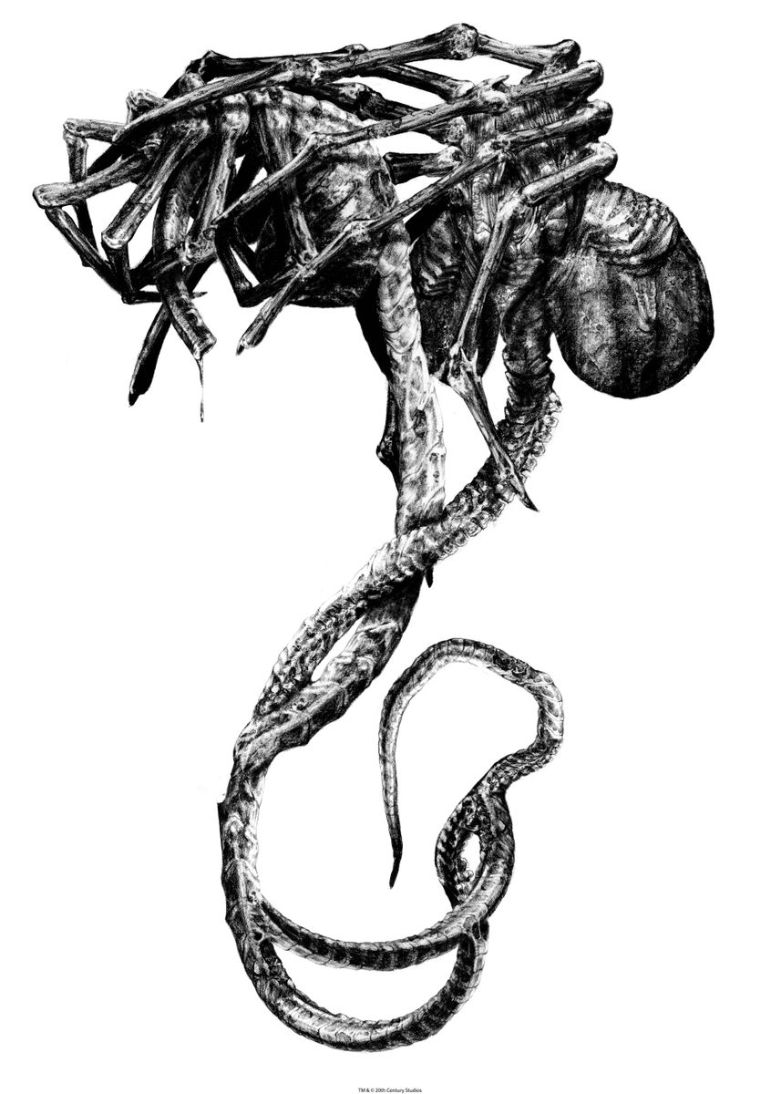 'Alien Sketch' Poster, picture, metal print, paint by Alien | Displate