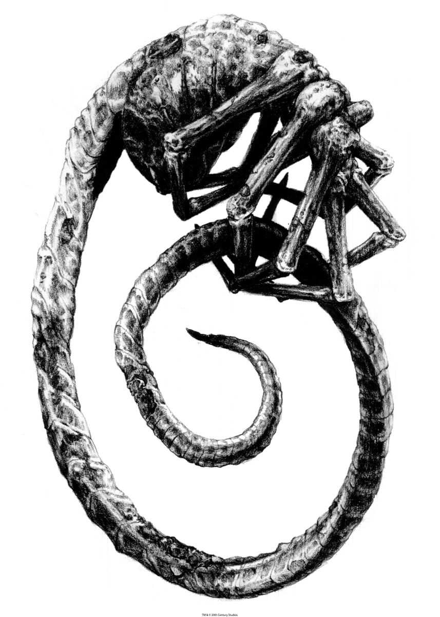 'Alien Newborn Sketch' Poster, picture, metal print, paint by Alien ...