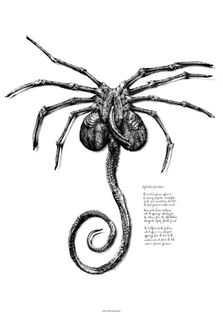 'Explorations Of Mutations Sketch' Poster, picture, metal print, paint ...