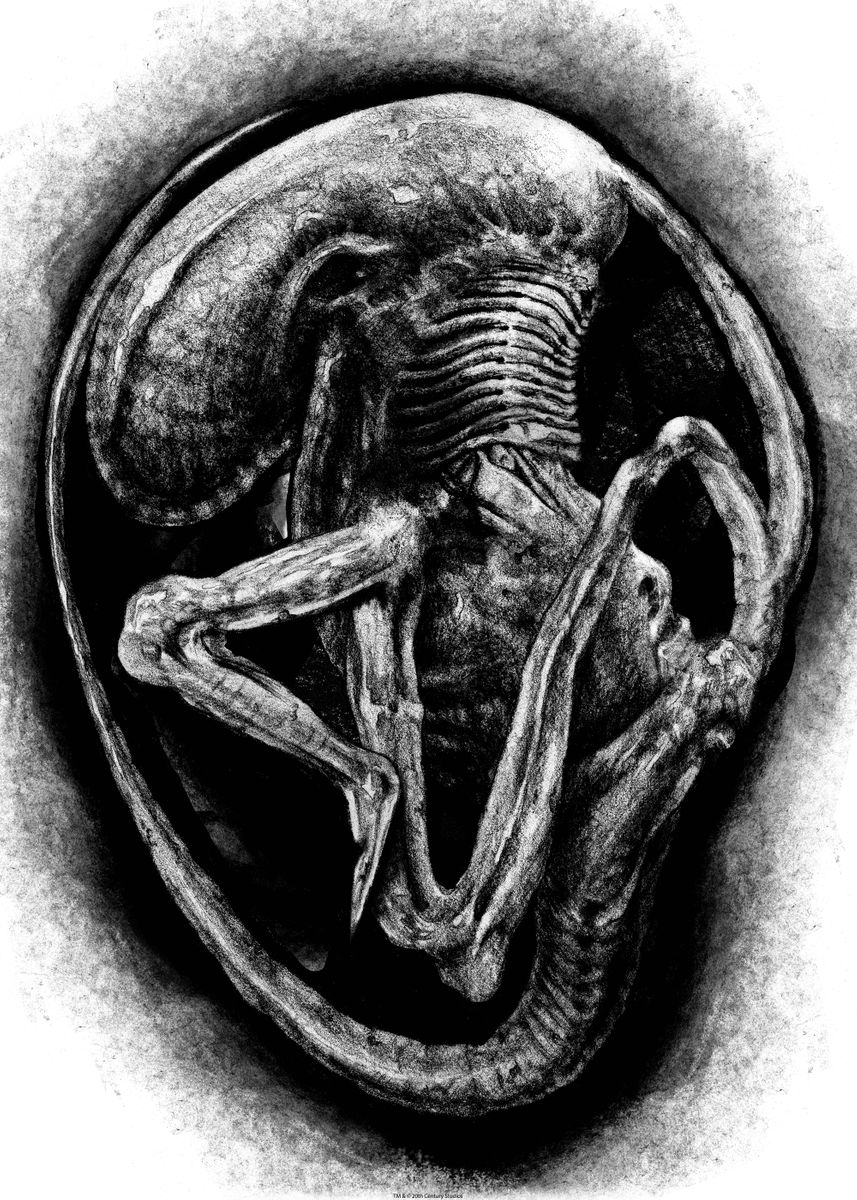 'Alien Embryo Sketch' Poster, picture, metal print, paint by Alien ...