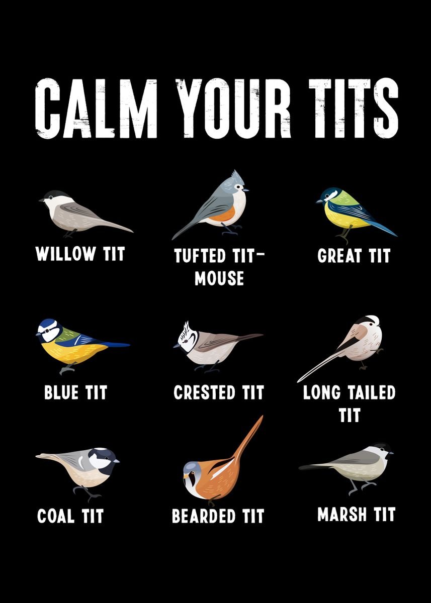 'Calm your tits Funny Bird' Poster, picture, metal print, paint by Phil ...