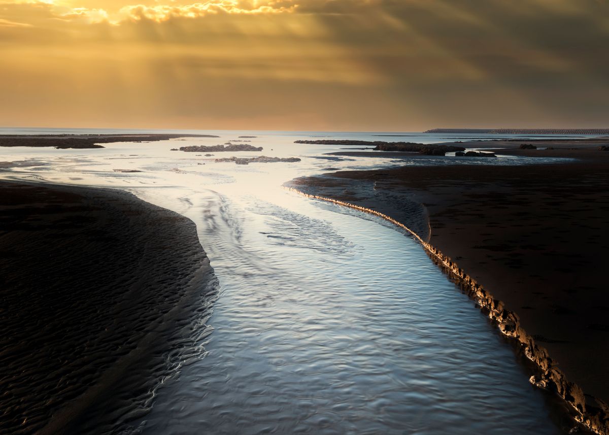 'Estuary' Poster by HanPing Tseng | Displate
