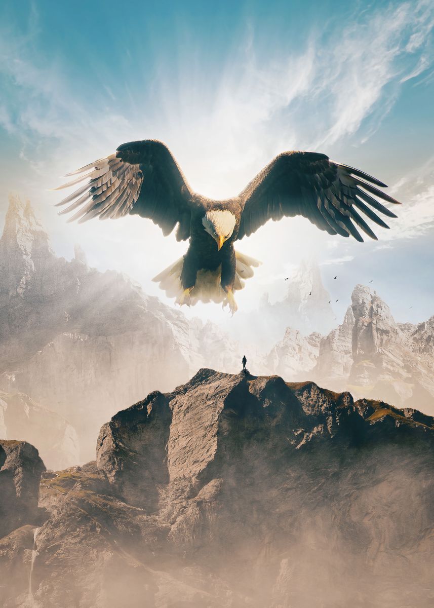 'SOAR' Poster, picture, metal print, paint by Adam Cousins | Displate