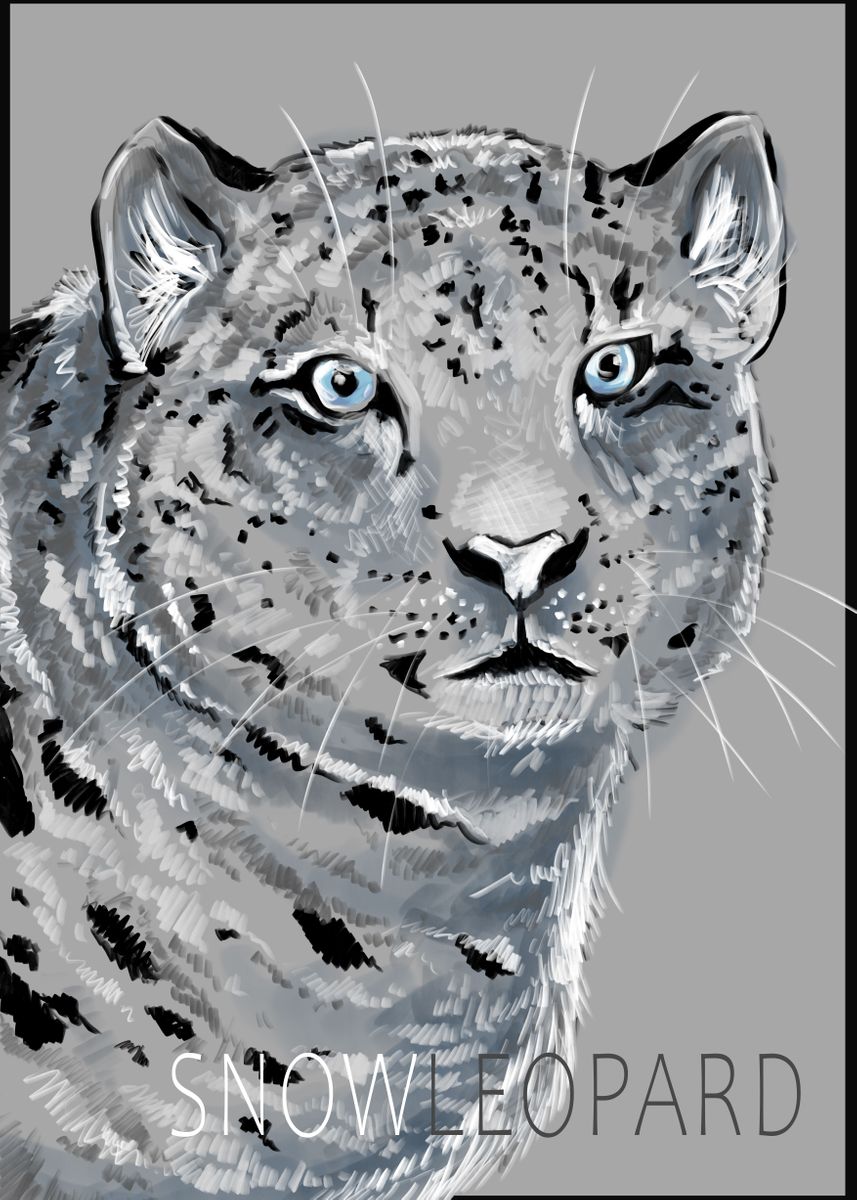 'Snow Leopard' Poster by Elizabeth MacDonald | Displate