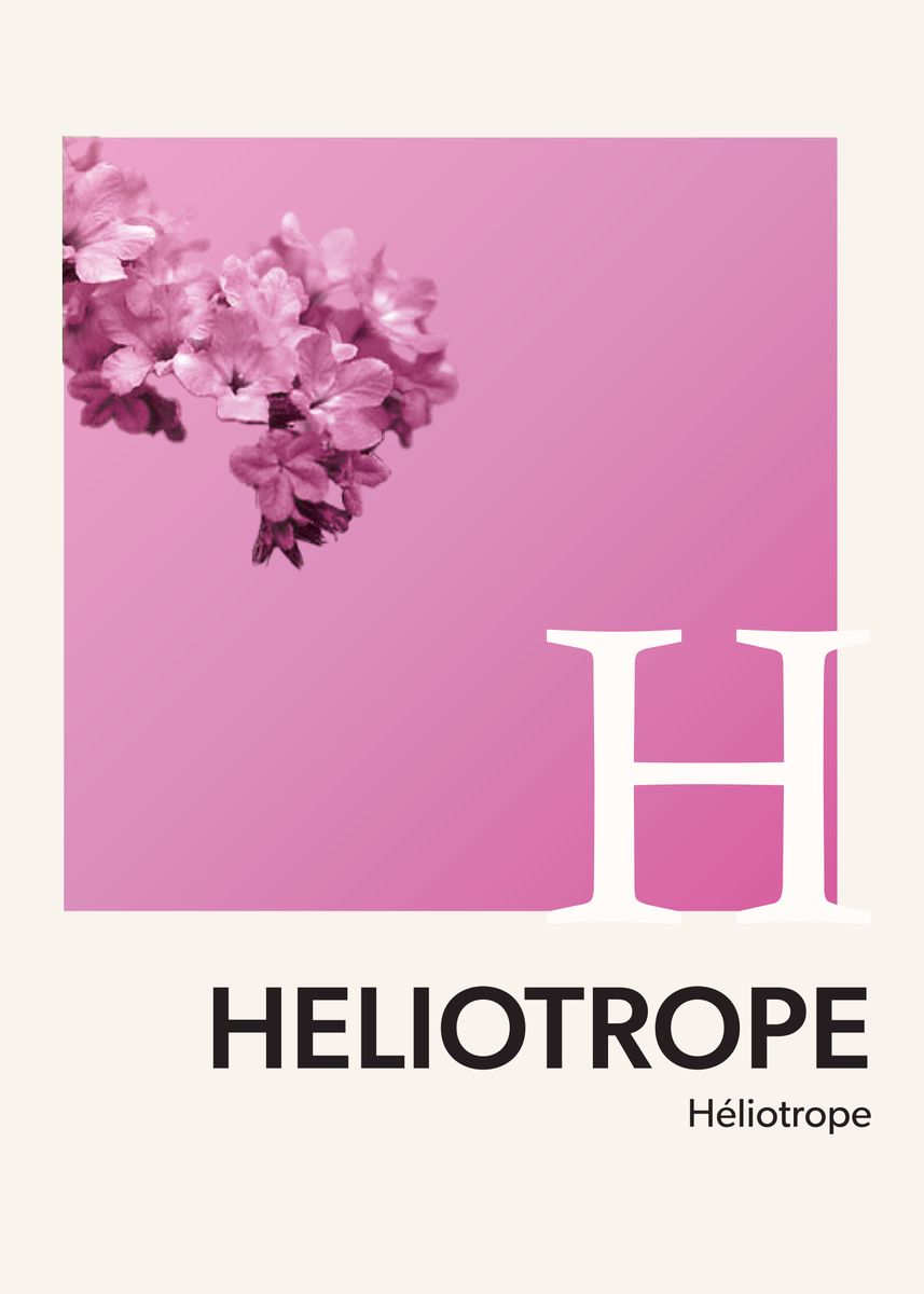 'Color Alphabet Heliotrope' Poster, picture, metal print, paint by ...
