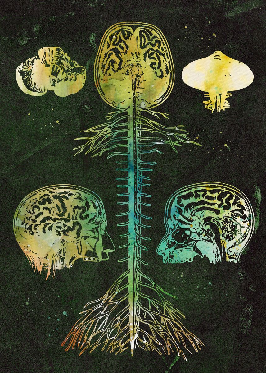 'Brain and spine ' Poster by Erzebet Prikel | Displate