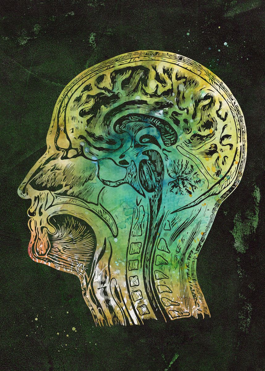 'Human head ' Poster, picture, metal print, paint by Erzebet Prikel ...