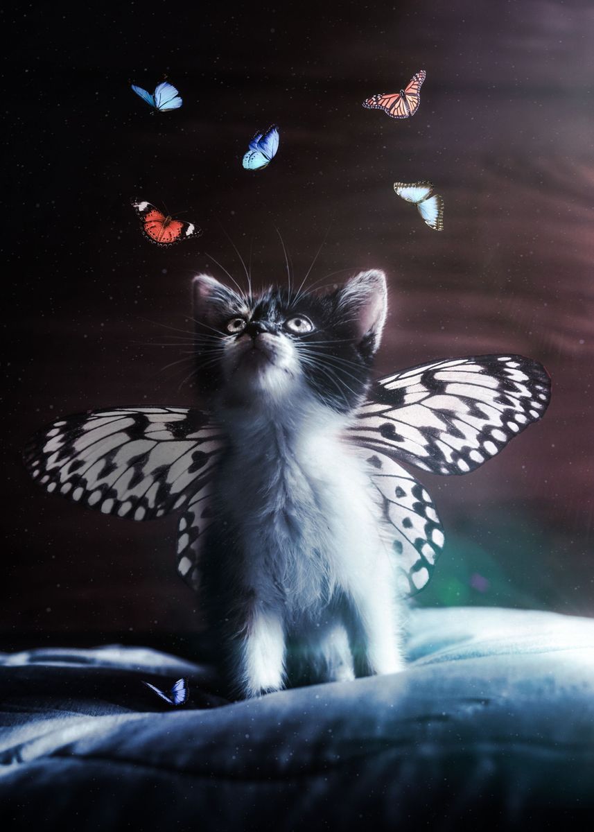 'Cute Baby Butterfly Kitten' Poster, picture, metal print, paint by Gen ...