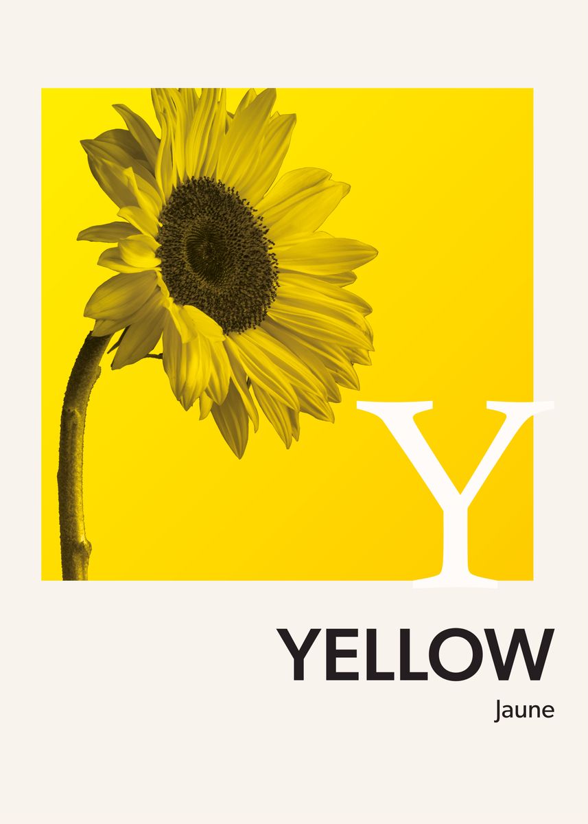 'Color Alphabet Yellow Y' Poster, picture, metal print, paint by ...