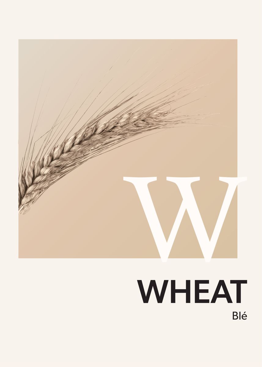'Color Alphabet Wheat Bl' Poster, picture, metal print, paint by ...
