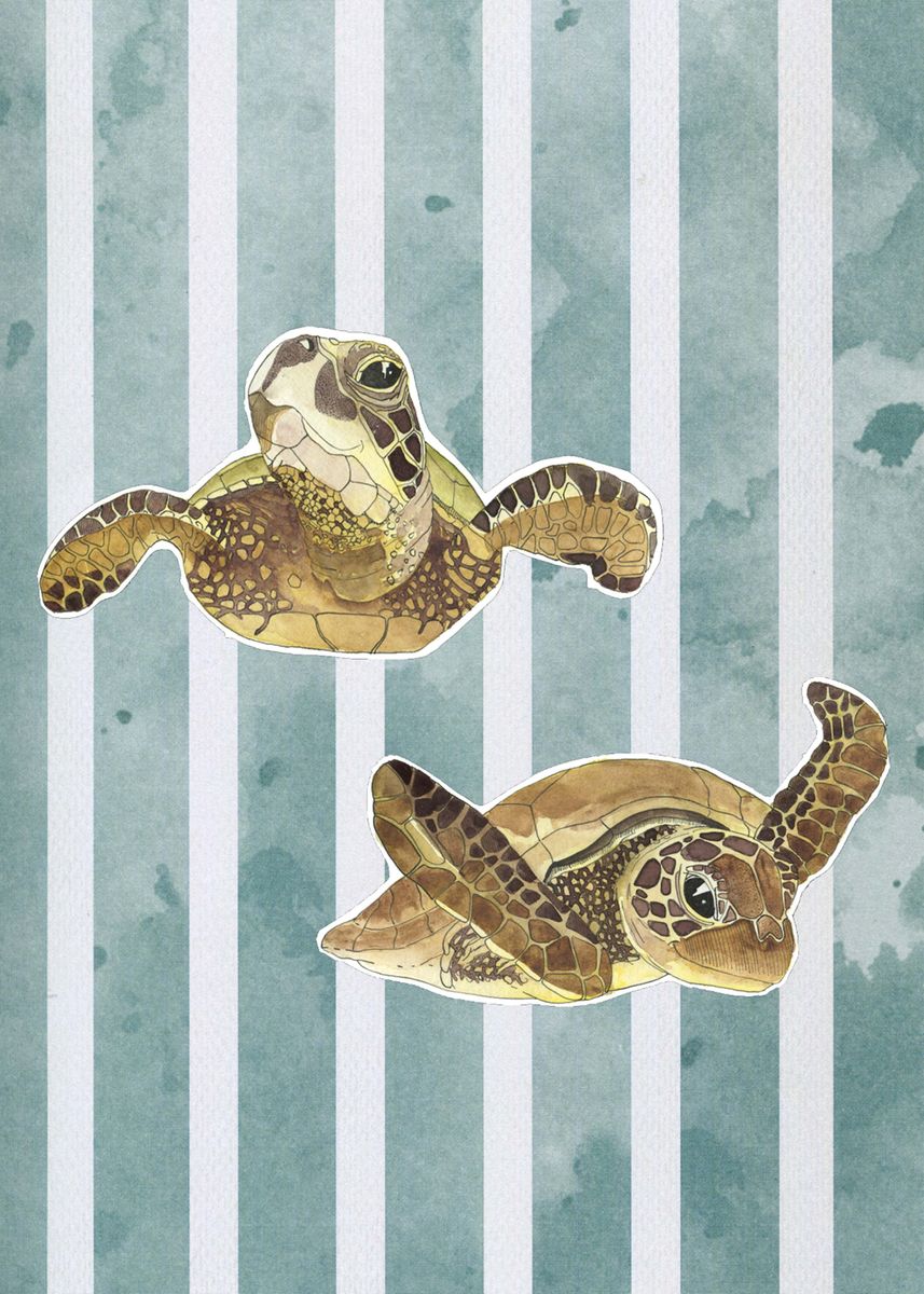 'Two cute turtles ' Poster, picture, metal print, paint by Anna ...
