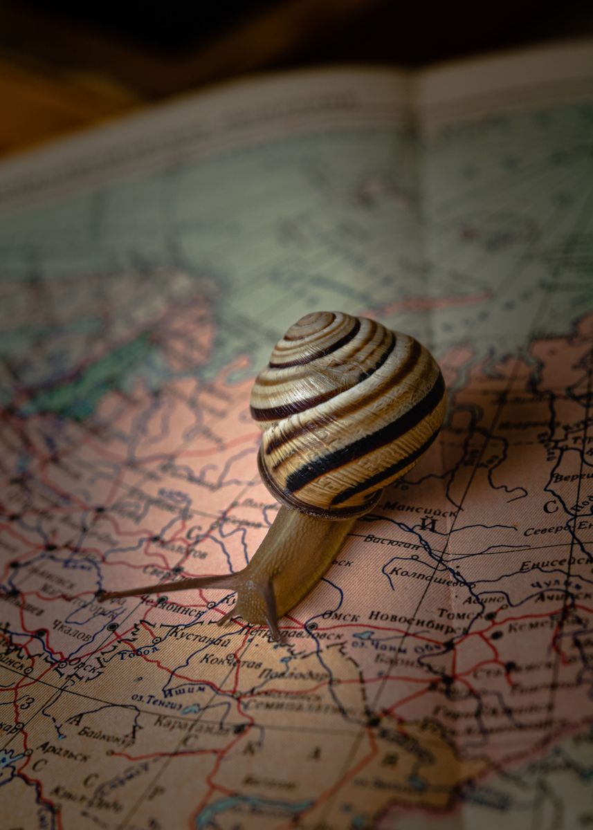 'Snail' Poster by NAMA | Displate